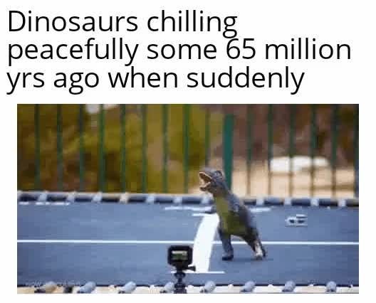 Dinosaurs chilling when - Meme by KARGETER :) Memedroid