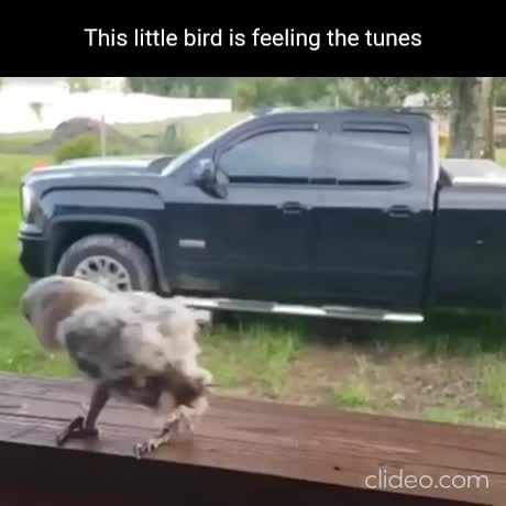 No more tears! - Meme by Disappointed_father :) Memedroid