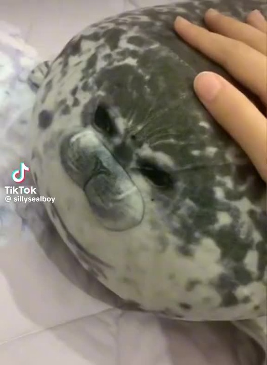 Foca - Meme subido por Shovelger :) Memedroid