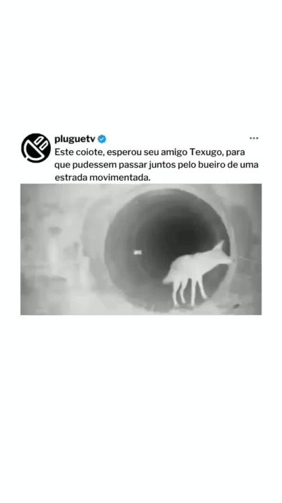 ai que linde - Meme by jorginhoUltimate1010 :) Memedroid