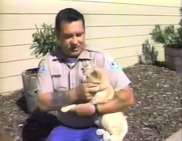 Oldie but a goodie - Meme by RedmanReaction :) Memedroid