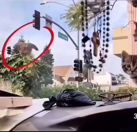 Title - Meme by Wr3m3M3m3d :) Memedroid