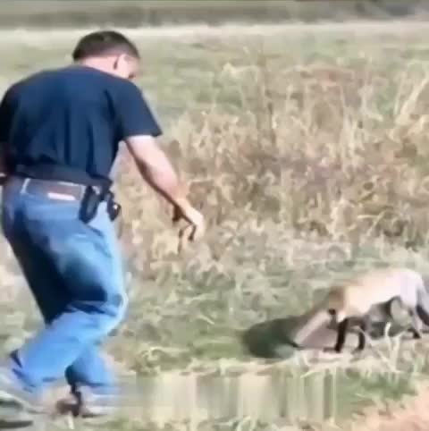 Saving a fox stuck in a can - Meme by SlashExtreme :) Memedroid