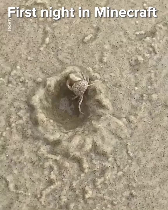 "Primeira noite no Minecraft" - Meme subido por 20estrupar70correr ...