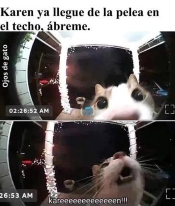 ahí se queda el gato - Meme subido por Unballer :) Memedroid