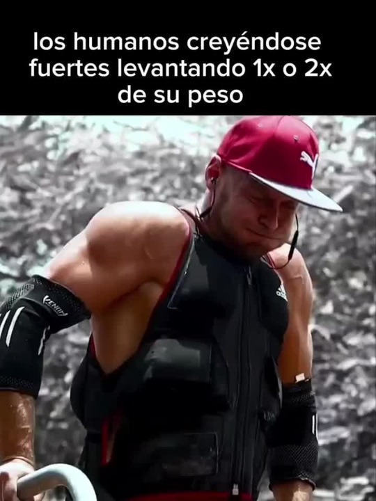Fuerza humana VS fuerza escarabajo pelotero - Meme subido por milolucas ...