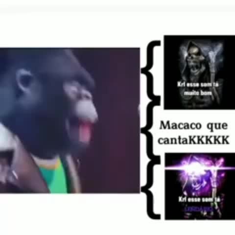 Sing - Meme by CicloneAlpha :) Memedroid