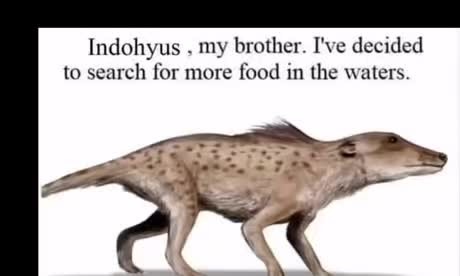 Go back - Meme by jokcrazy :) Memedroid