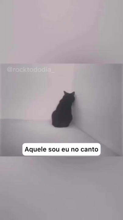 Cat lore - Meme by SamusArantesNaciment :) Memedroid