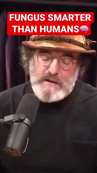 The incredible slime mold cleverness - Meme by schizoidman :) Memedroid