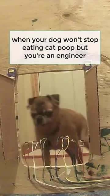 Controlling your dog - Meme by TheNoiseIsReal :) Memedroid