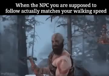 That rare NPC that actually walks at your pace - Meme by vaperWave ...
