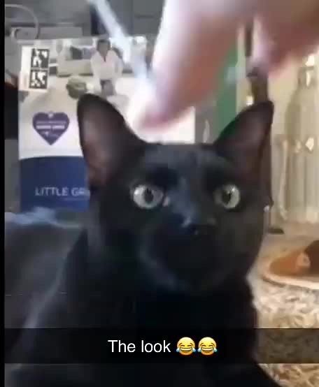 not happy - Meme by Baiast :) Memedroid