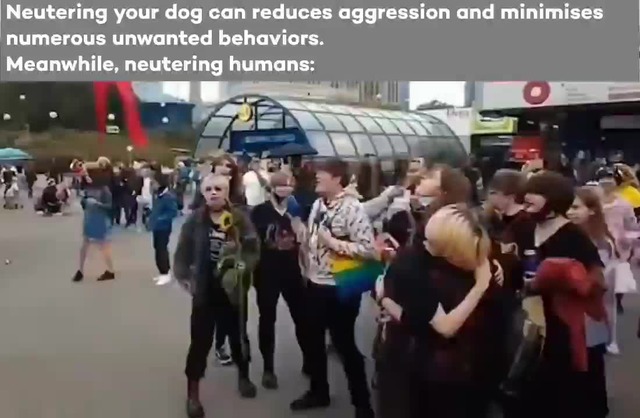 Neutering Humans - Meme subido por H00man :) Memedroid