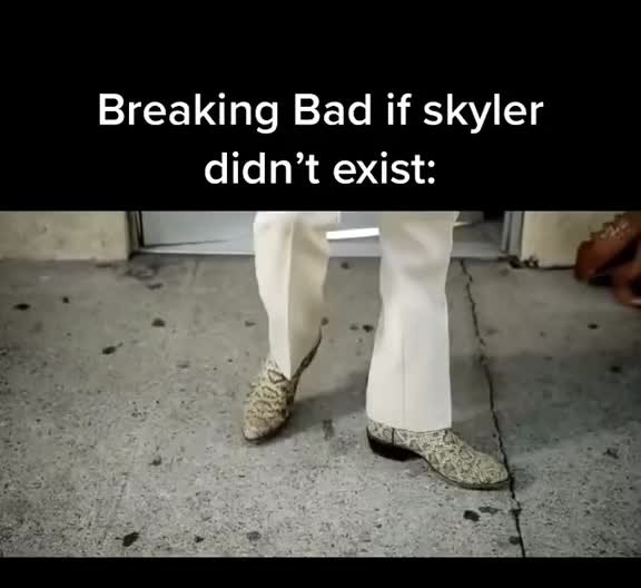 Skyler is a hoe - Meme by PASSWORD123456789 :) Memedroid