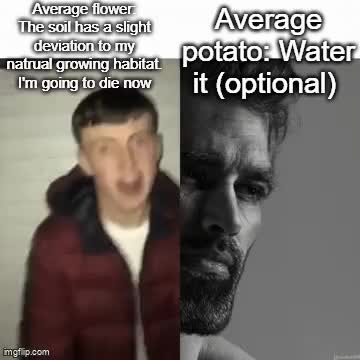 Chad potatoes - Meme by Jukkelish :) Memedroid