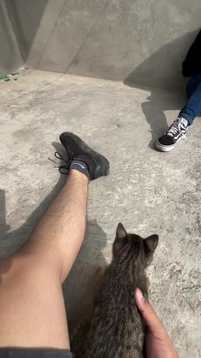 Get rotated, idiot - Meme by Mireska :) Memedroid