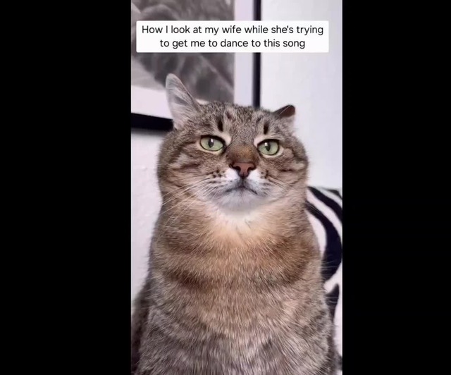 Awww yeah - Meme by Aldea :) Memedroid