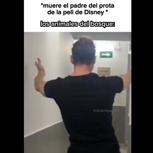Los animales del bosque cuando el prota pierde al padre - Meme subido ...