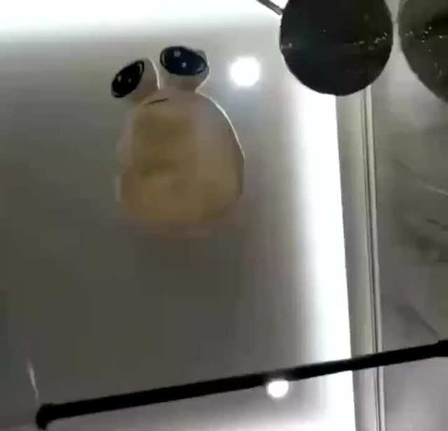 Pou - Meme by SuperiorGod999 :) Memedroid