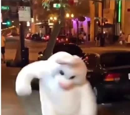 Bunny beatdown - Meme by IrishDemon :) Memedroid