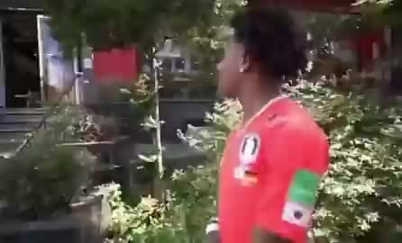 Meme Harvest: Zip up all your memes, upload to google drive.. share ...