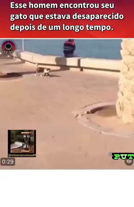 Que cuti cuti :3 - Meme by legendarysnake :) Memedroid