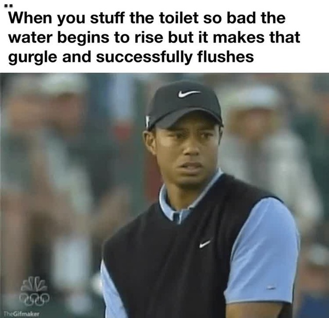 toilet triumph - Meme by purplehazecut :) Memedroid