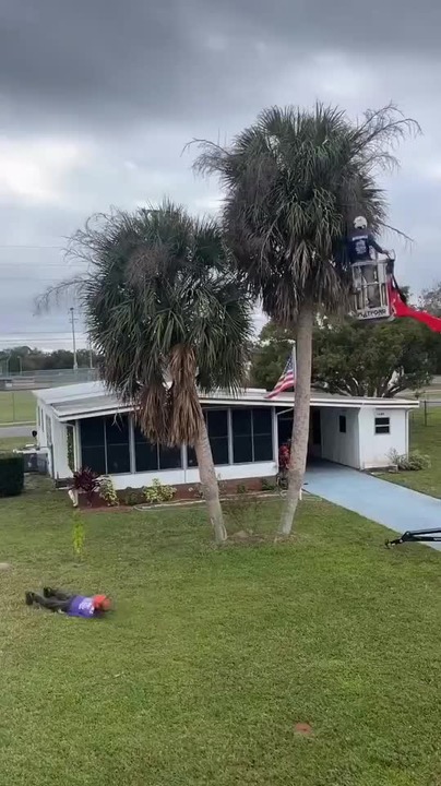 Encuentra el error nivel 1,000000000 sayayin fase dios - Meme subido ...