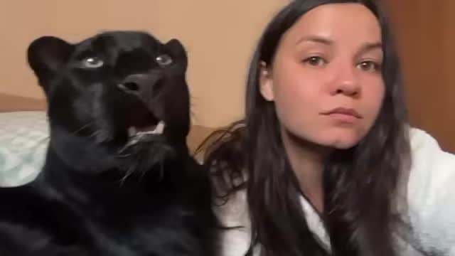 Black panther - Meme by tivoxx :) Memedroid