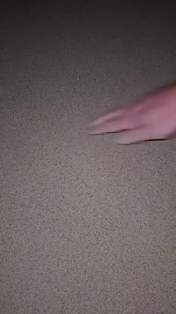 How to make a fire on the beach - Meme by GunnaBurns :) Memedroid