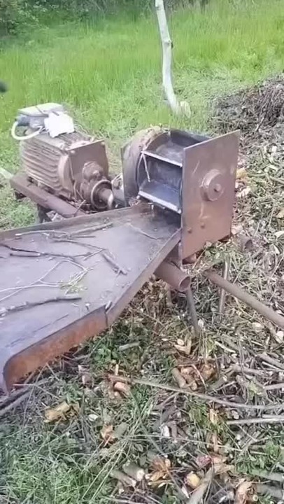 eating wood - Meme by arrowguy :) Memedroid