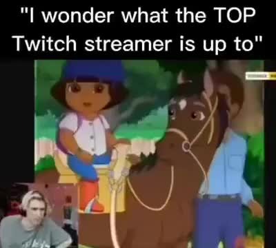 Is this what an XQC stream is like? - Meme by Garfieldboi888 :) Memedroid