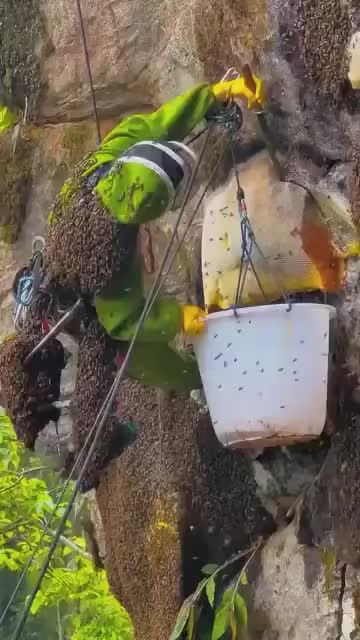 Yeees honeeey - Meme by gxldnqx :) Memedroid