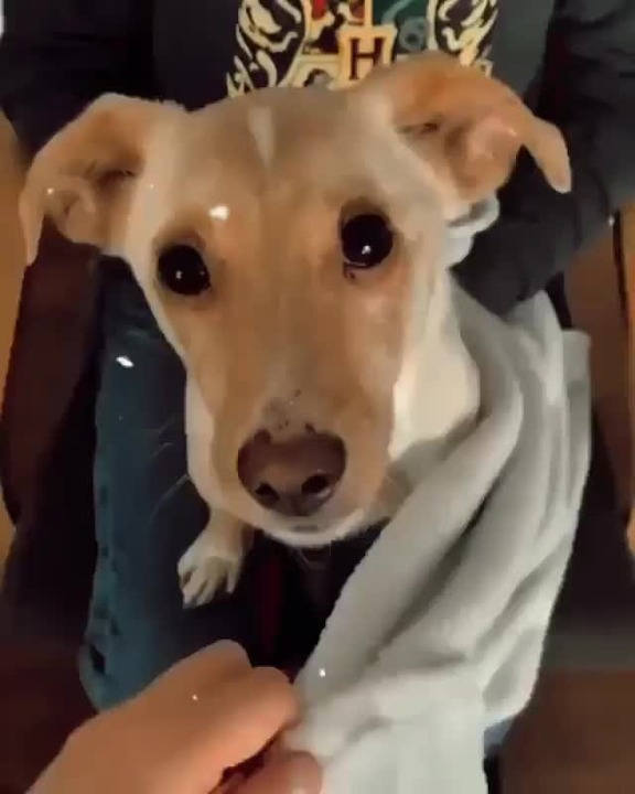 Fofo - Meme by M3_. :) Memedroid